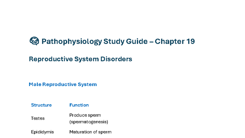 Chapter 19 Reproductive System Disorders Study Notes - Studocu