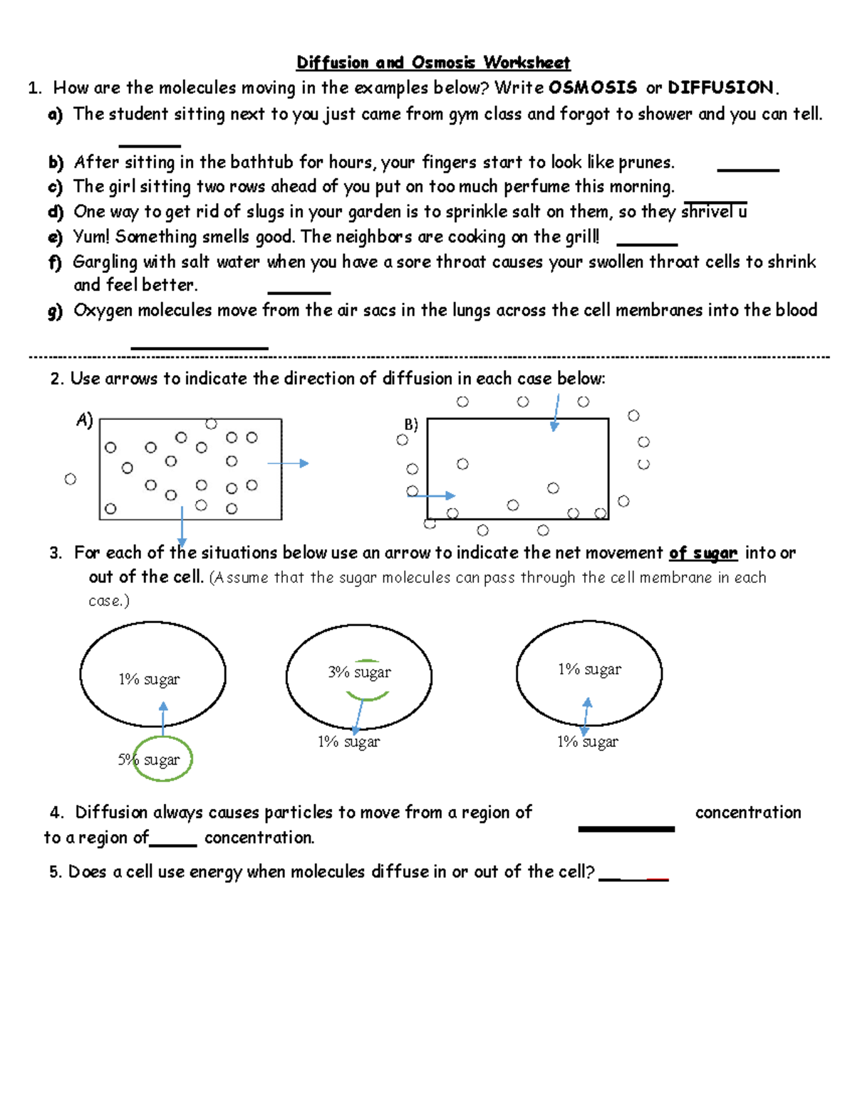 SBI4U - Unit 1 - Lesson 6 - Diffusion and Osmosis Homework - Studocu