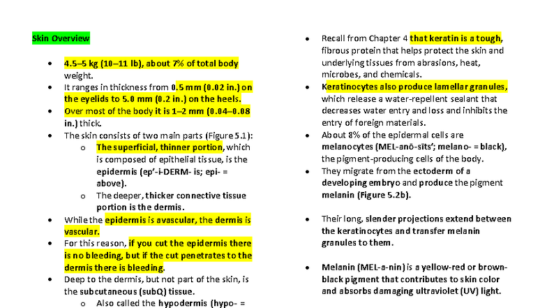 Integumentary System Overview (SKIN) - Structure and Function - Studocu