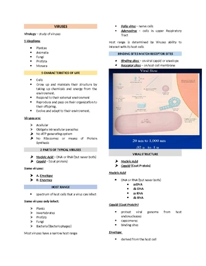 Viruses - Microbiology Study Notes for Final Exam (Bio 101) - Studocu