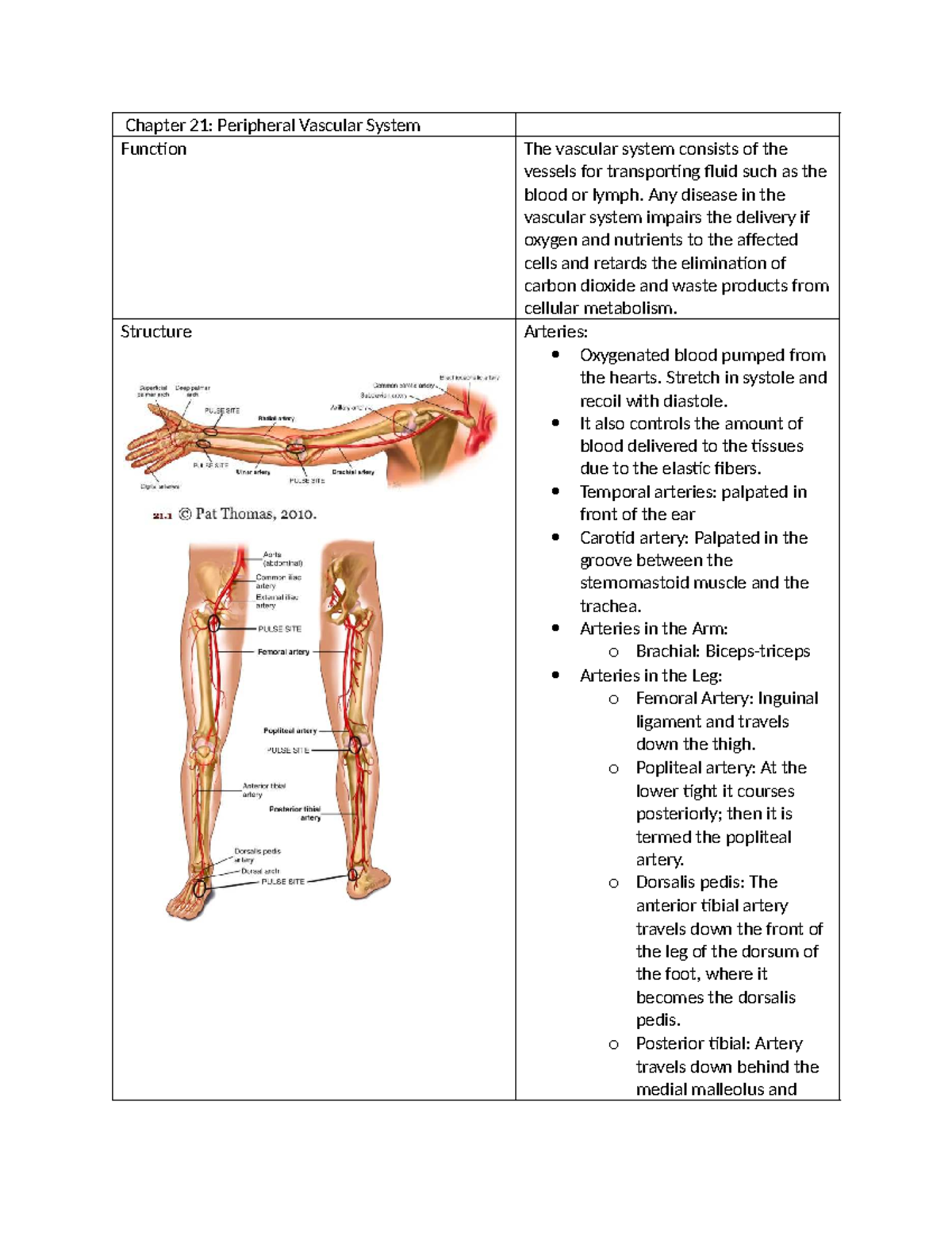 Chapter 21: Peripheral vascular system function and structure (HA2) - Studocu