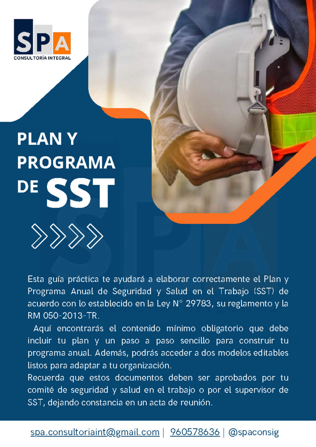 Guía Práctica para el Plan y Programa Anual de SST - Ley N° 29783 - Studocu