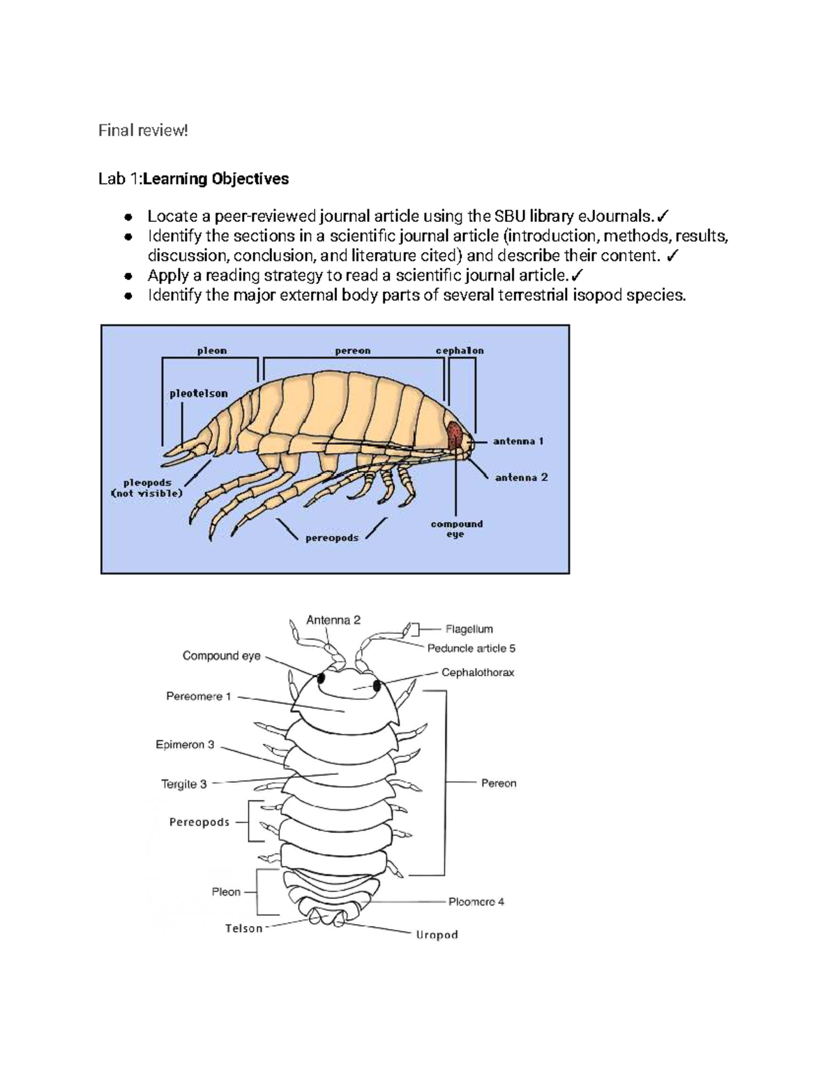 BIO 204 - Comprehensive Final Review of Lab Learning Objectives - Studocu