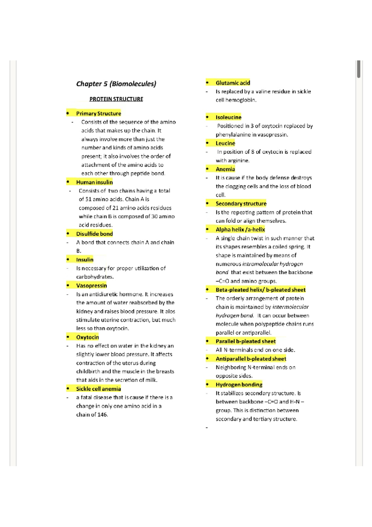 Chapter 5 (Biomolecules): Protein Structure and Function Insights - Studocu