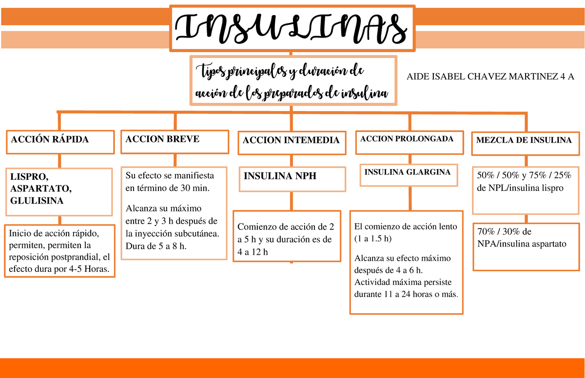 Clasificación De Las Insulinas Según Su Duración Y Acción – RFKYLN