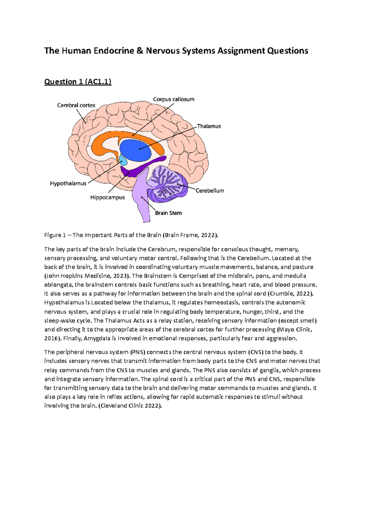 Unit 10 - Assignment on Human Endocrine & Nervous Systems Overview ...
