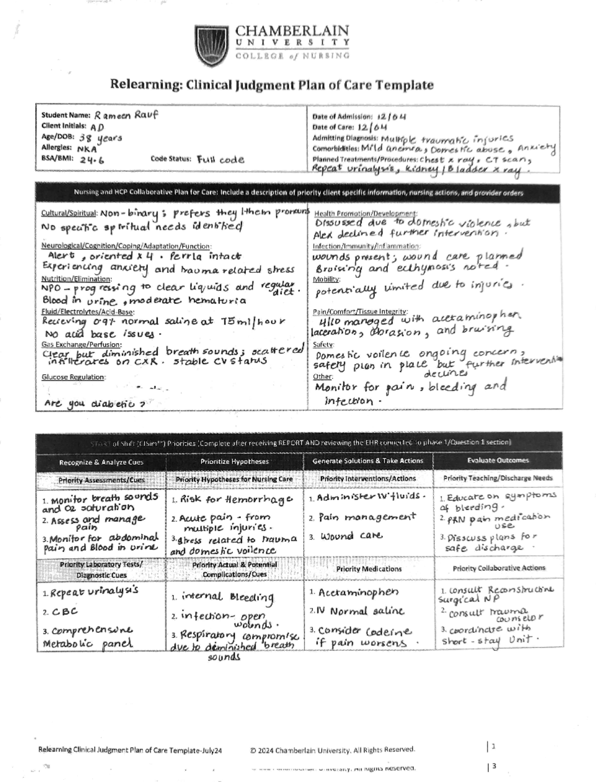 Relearning Clinical Judgment Plan of Care Template (Nr 442) for Nursing ...