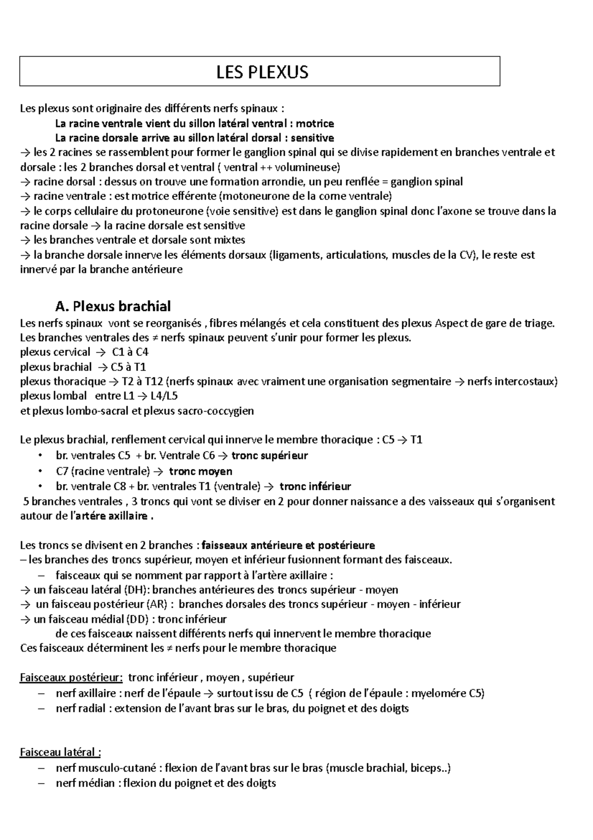 Plexus - Cours sur les Systèmes Nerveux - Notes Complètes - Studocu