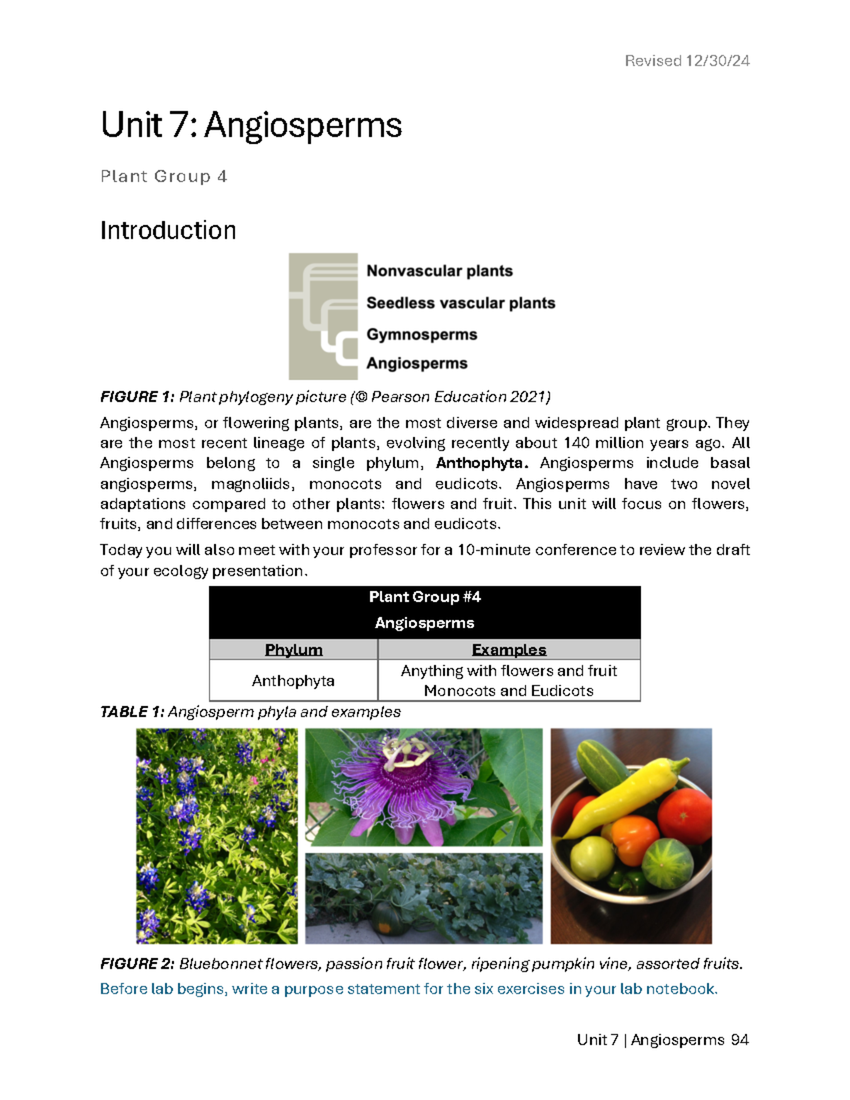 Unit 7: Angiosperms Lab Activities and Observations (Biology 101 ...