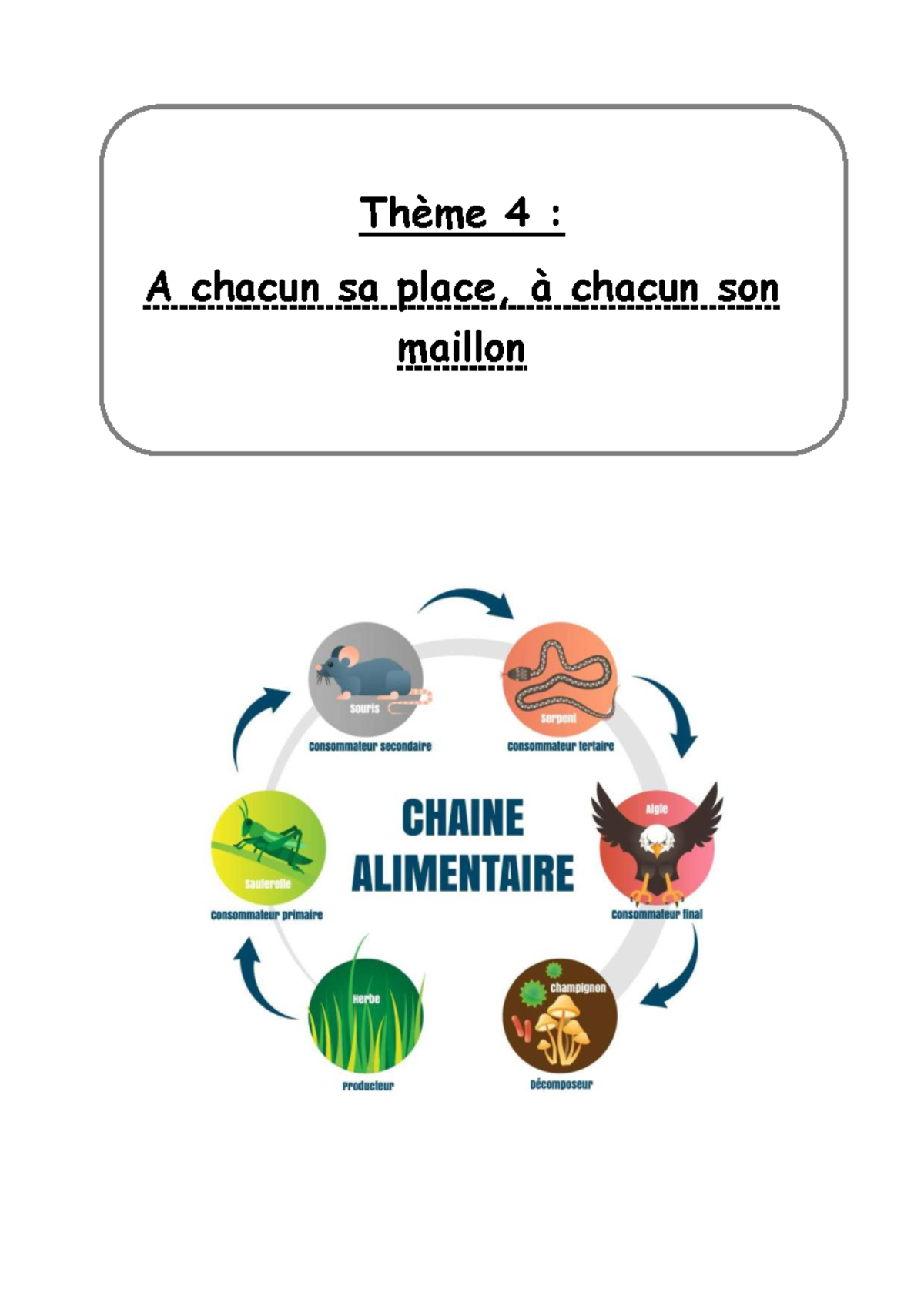 Thème 4 : A Chacun Sa Place, À Chacun Son Maillon - Initiation ...