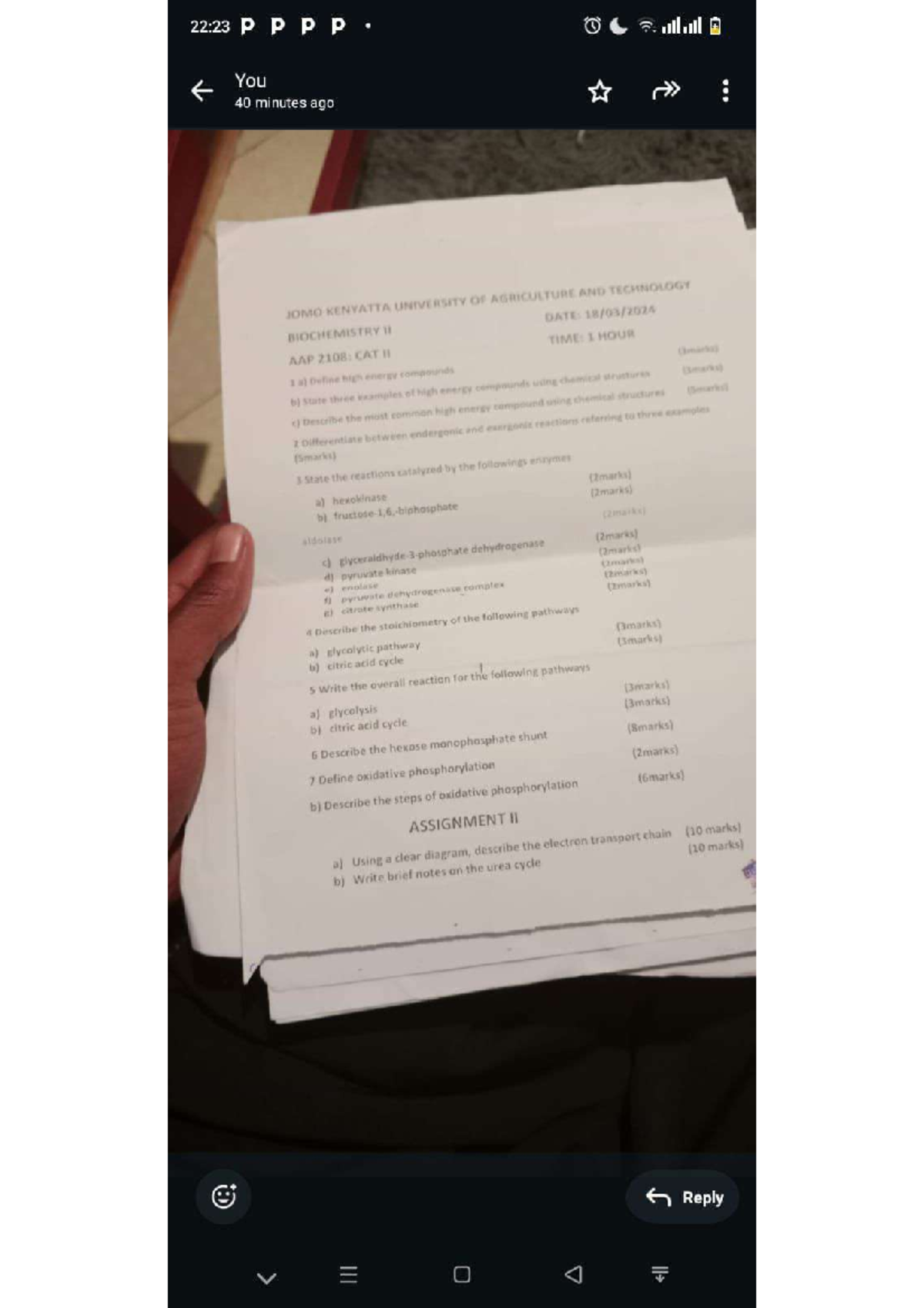 Biochemistry 11: CAT 11 Assignment on High Energy Compounds and ...