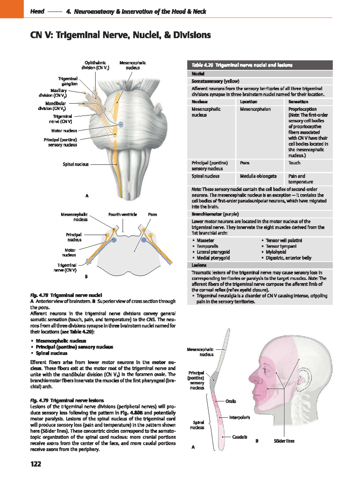 Head 4. Neuroanatomy: Trigeminal Nerve (CN V) Overview and Summary ...