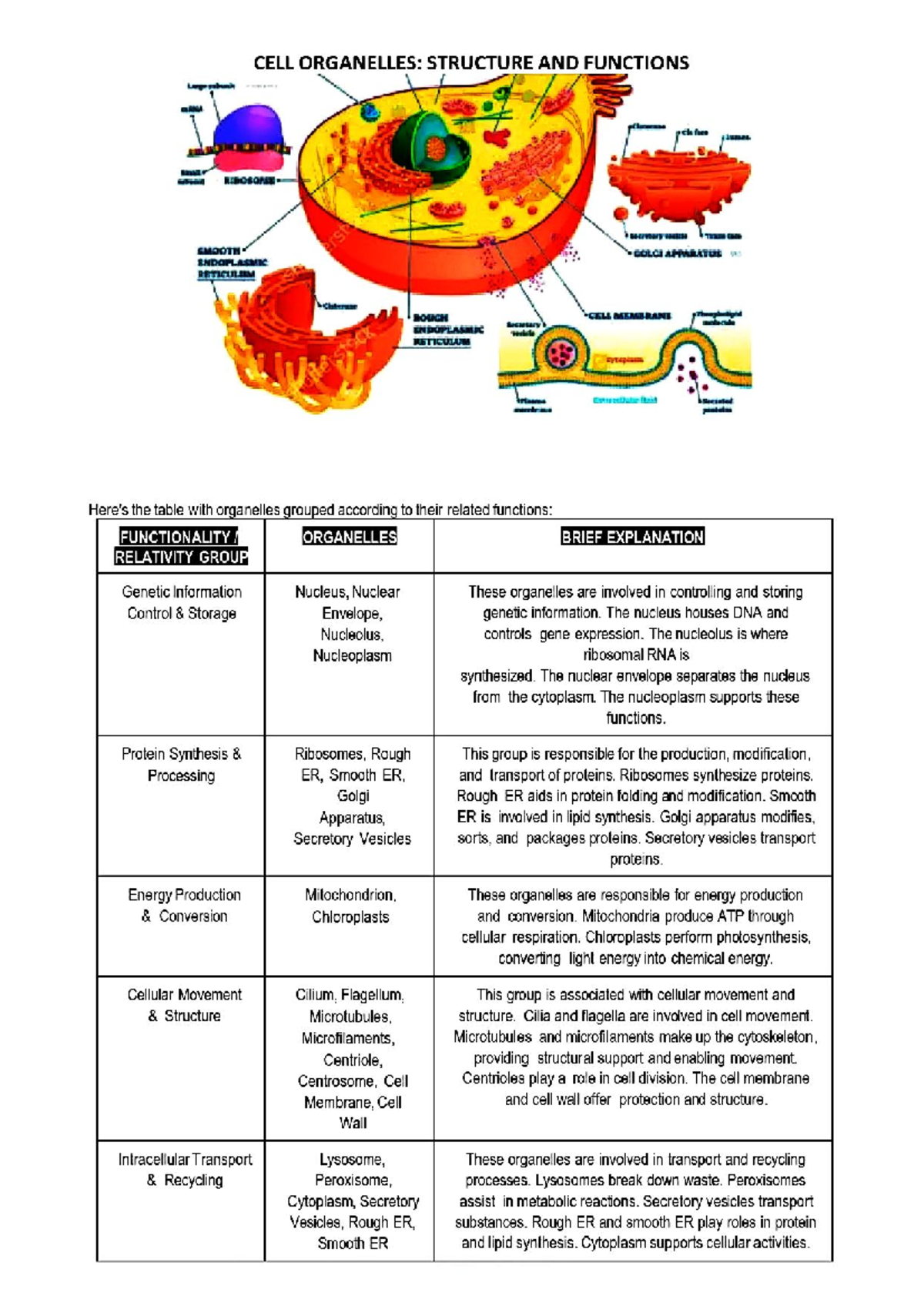 CELL BIOLOGY: ORGANELLES STRUCTURE & FUNCTIONS (BIO 101) - Studocu