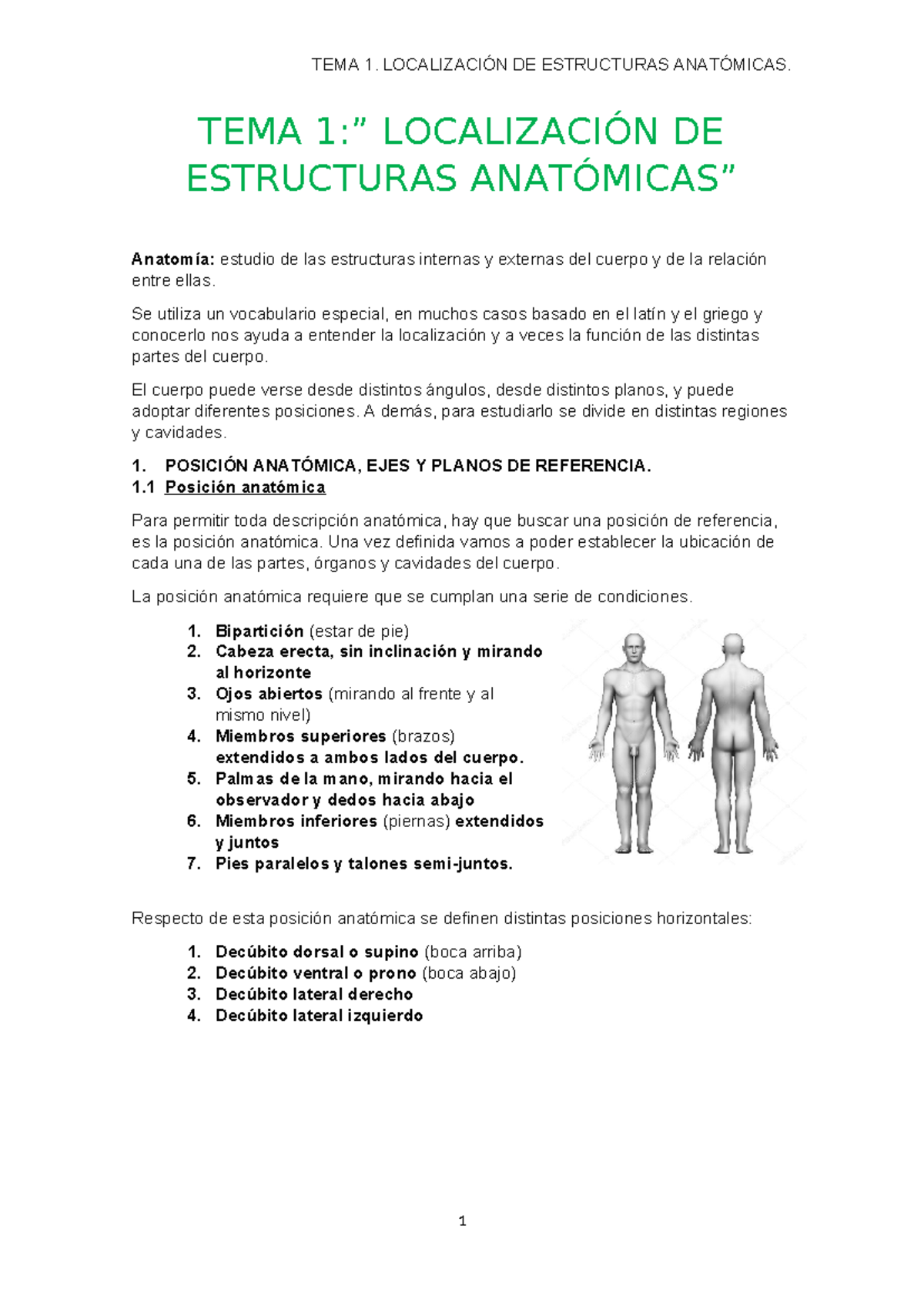 TEMA 1: Localización de Estructuras Anatómicas (Anatomía) - Studocu