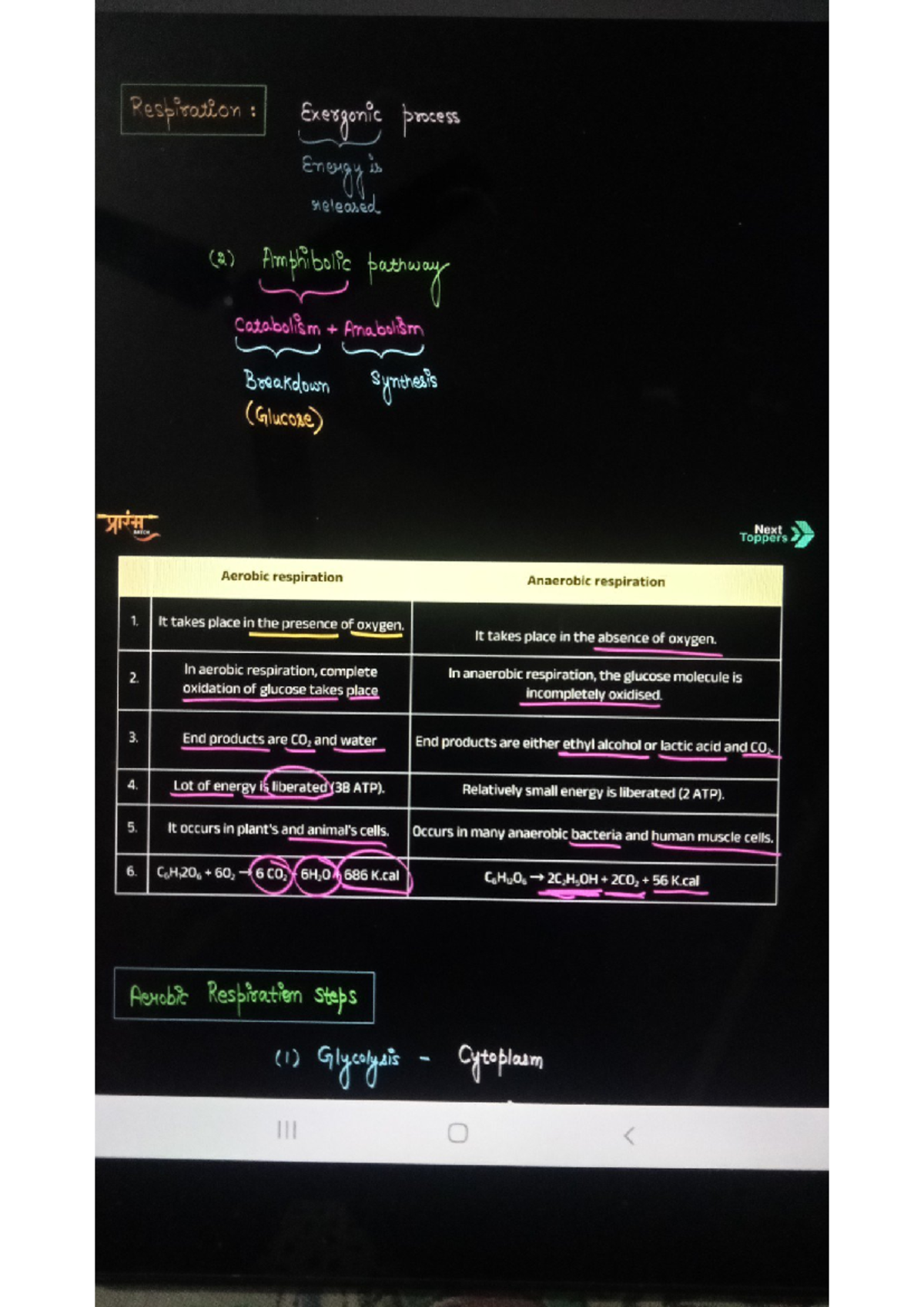 Respiration in Plants: Aerobic & Anaerobic Processes (BIO101) - Studocu