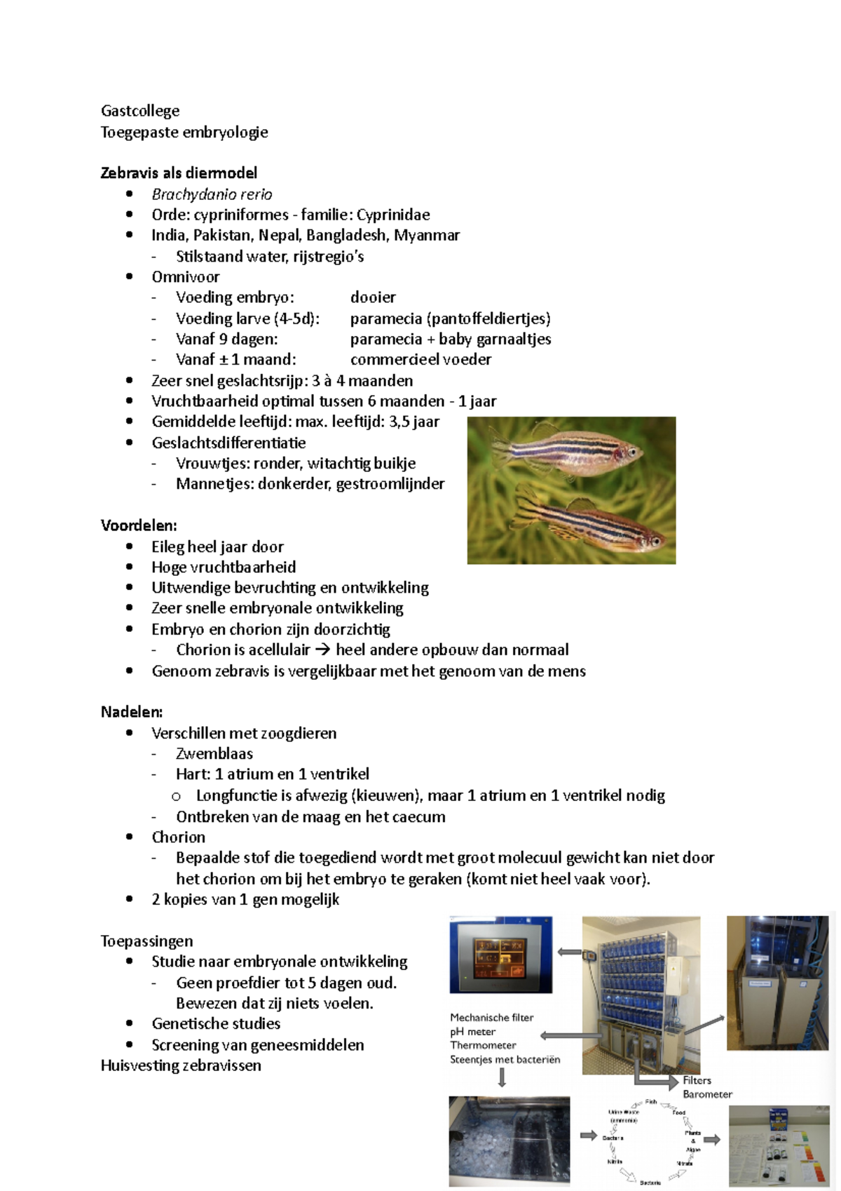 Gastcollege zebravissen - Gastcollege Toegepaste embryologie Zebravis ...
