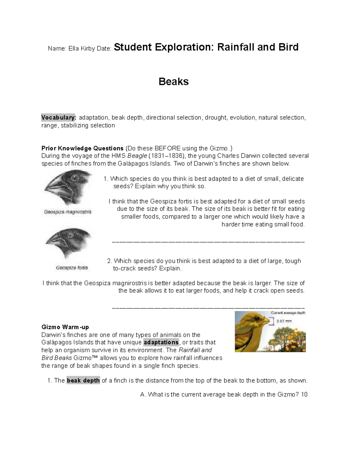 Rainfall and Bird Beaks SE - Student Exploration Homework - Studocu
