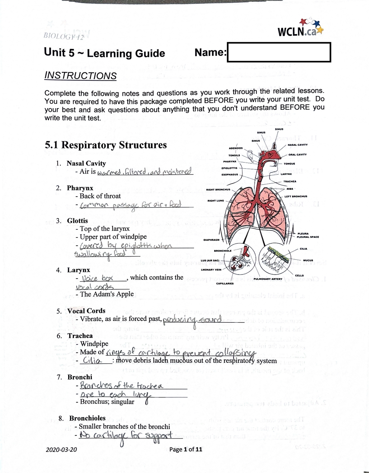 WLCN Chem 12 Lab Guide - Lesson 5 Overview - Studocu