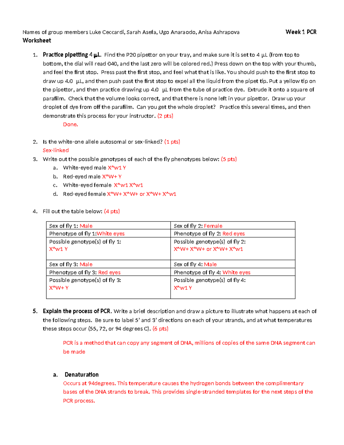 PCR Week 1 Worksheet - blob - Names of group members Luke Ceccardi ...