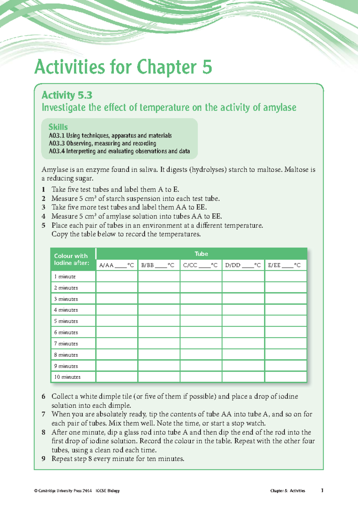 Activity 5.3: Investigating Temperature Effects on Amylase Activity ...