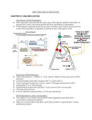 IB Bio - Lab Report Banana DNA Extraction - Lab Report Banana DNA Extraction 1. Background Each ...