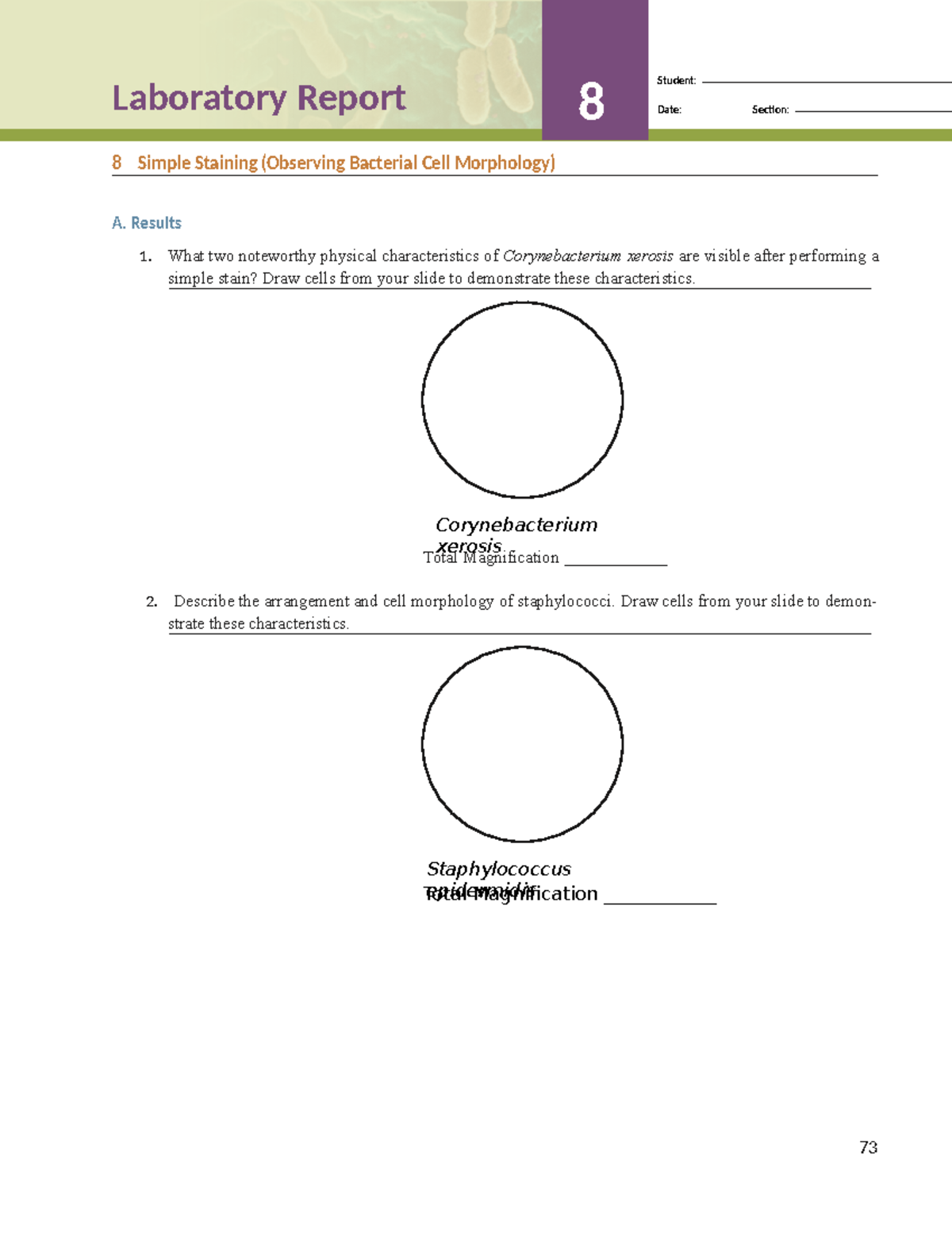 Exercise 08 Lab Report Revised A3 - 8 Simple Staining (Observing ...