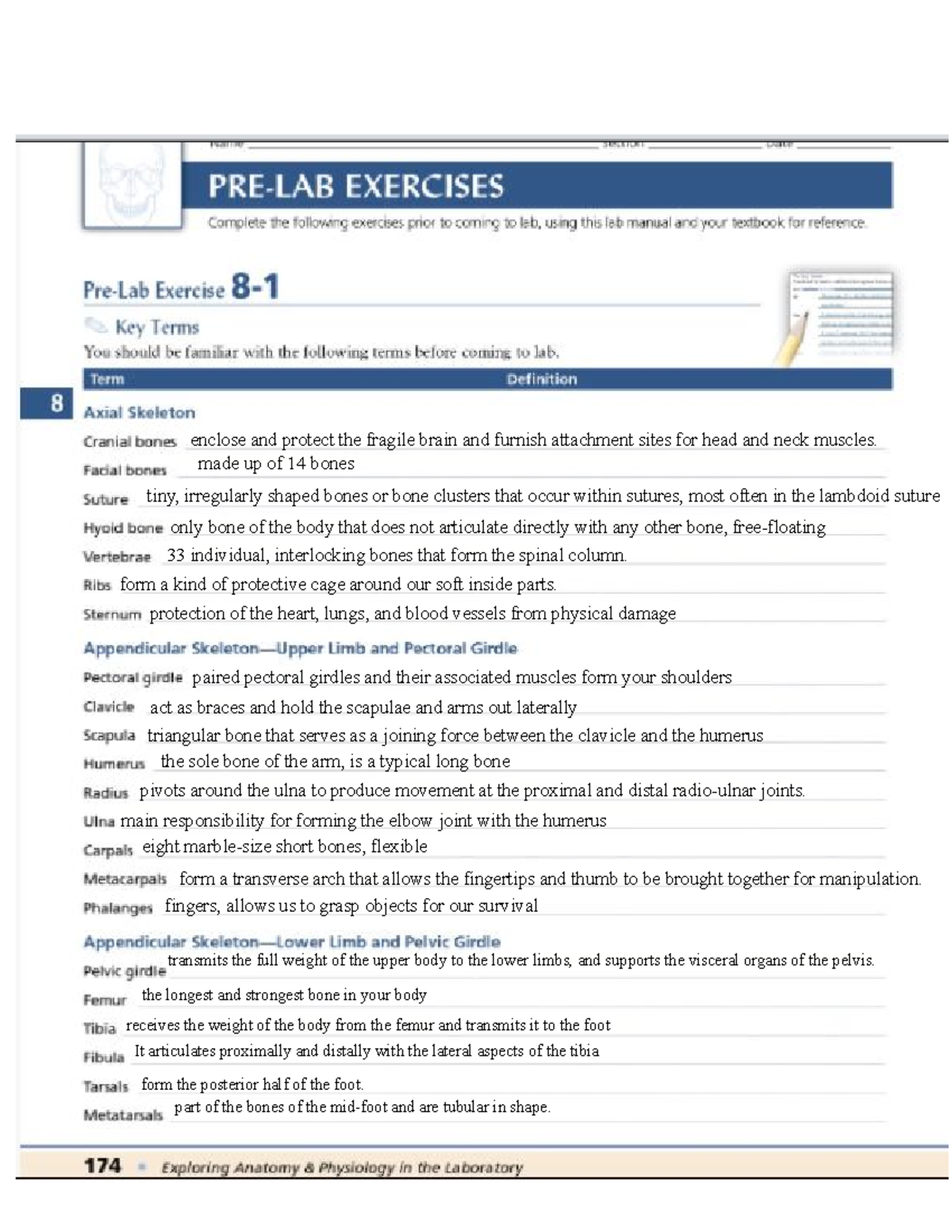 Unit 8: Skeletal System - Lab 8 Guide and Skull Details - Studocu