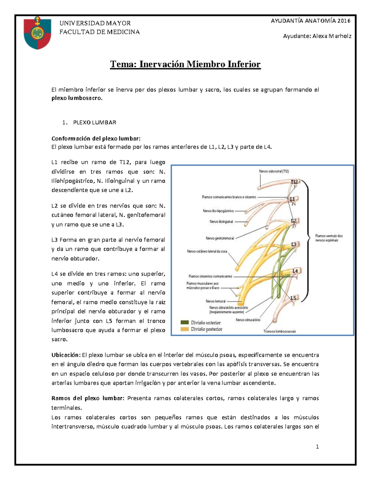 Informe Final Anatomía: Istmo de las Fauces - Odontología - Studocu