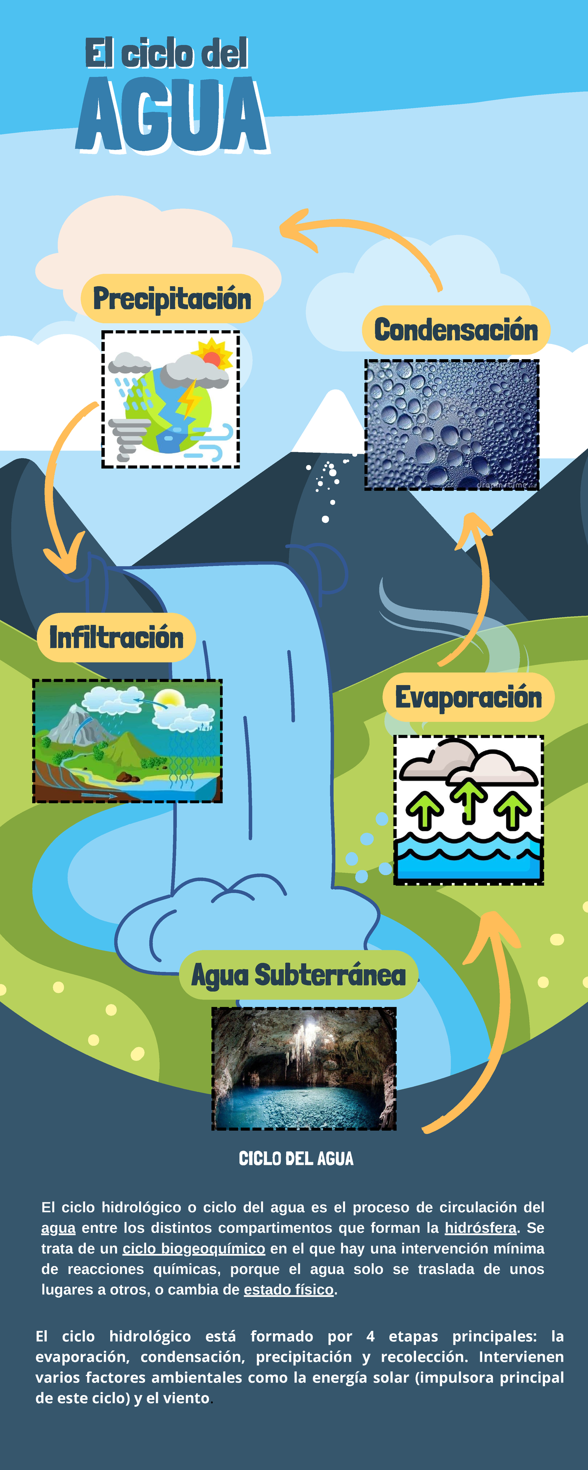 Ciclo del agua - ...................... - CICLO DEL AGUA Condensación ...