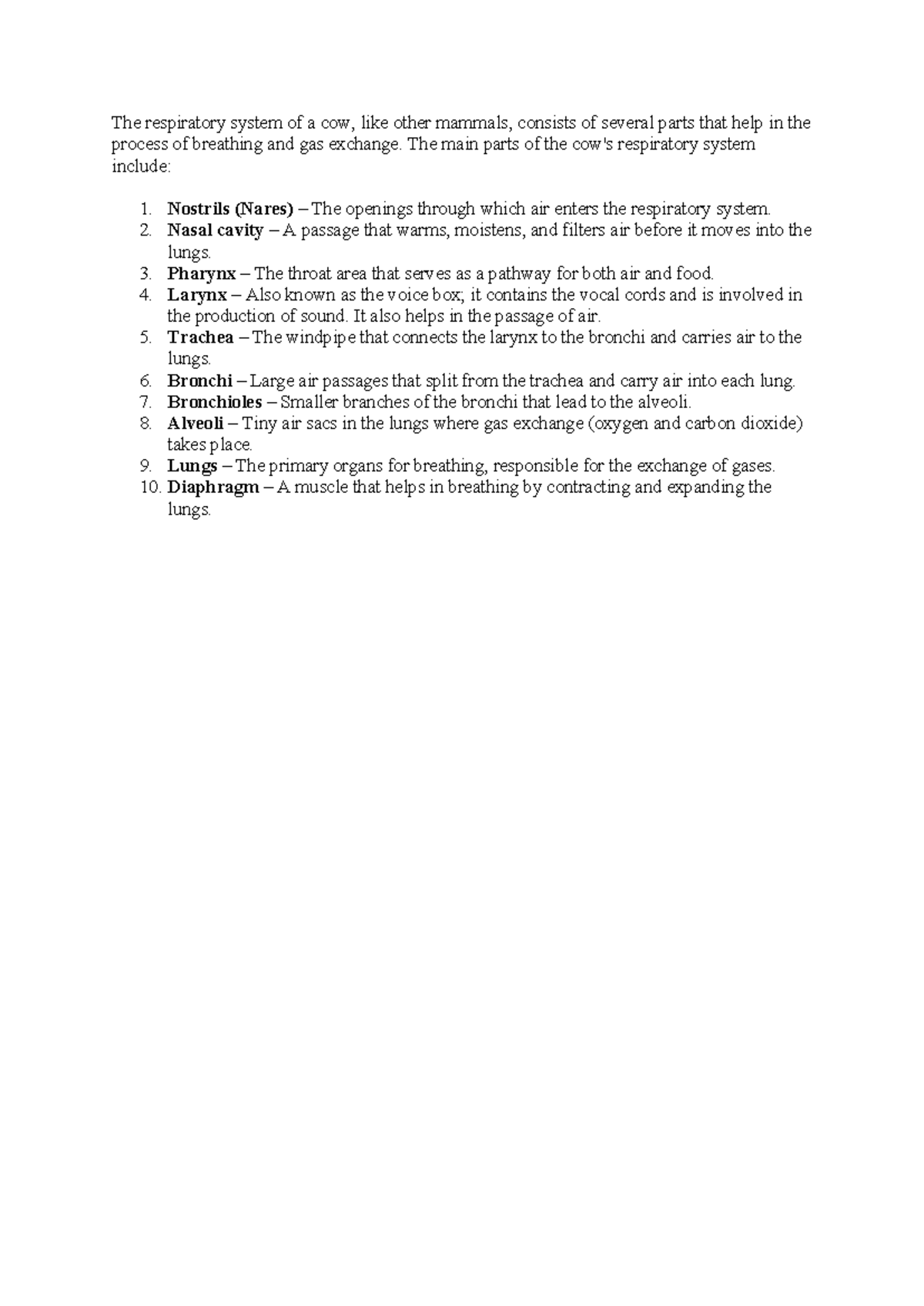 Cow Respiratory System: Anatomy & Function in Mammals - Studocu