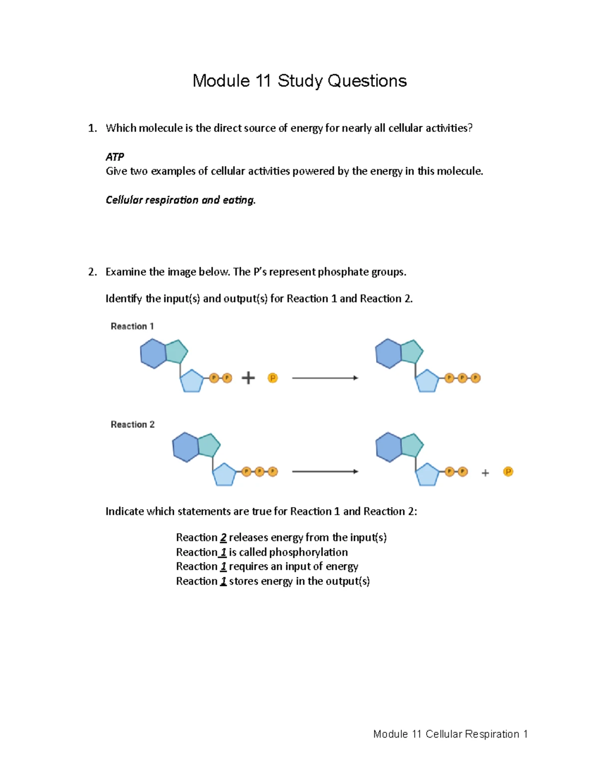 Module 22 study questions - Module 22 Study Questions What is mutualism ...