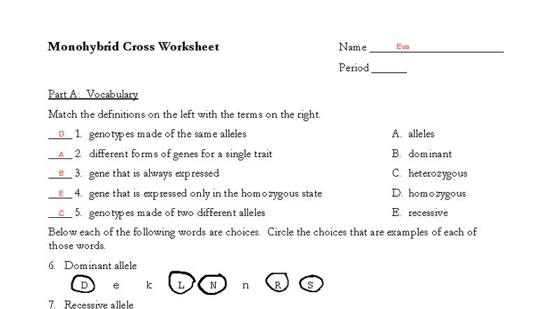 Monohybrid Cross Worksheet: Vocabulary & Punnett Squares - Studocu