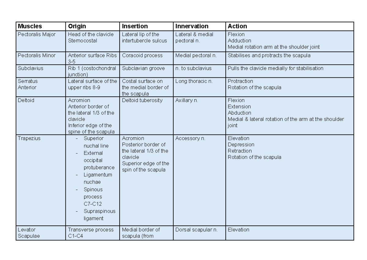 Muscles: Origin, Insertion, Innervation, Action - Anatomy Notes - Studocu