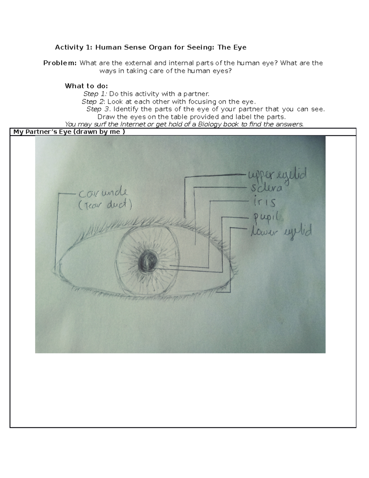 Local media 7966984352872038464 - Activity 1: Human Sense Organ for ...