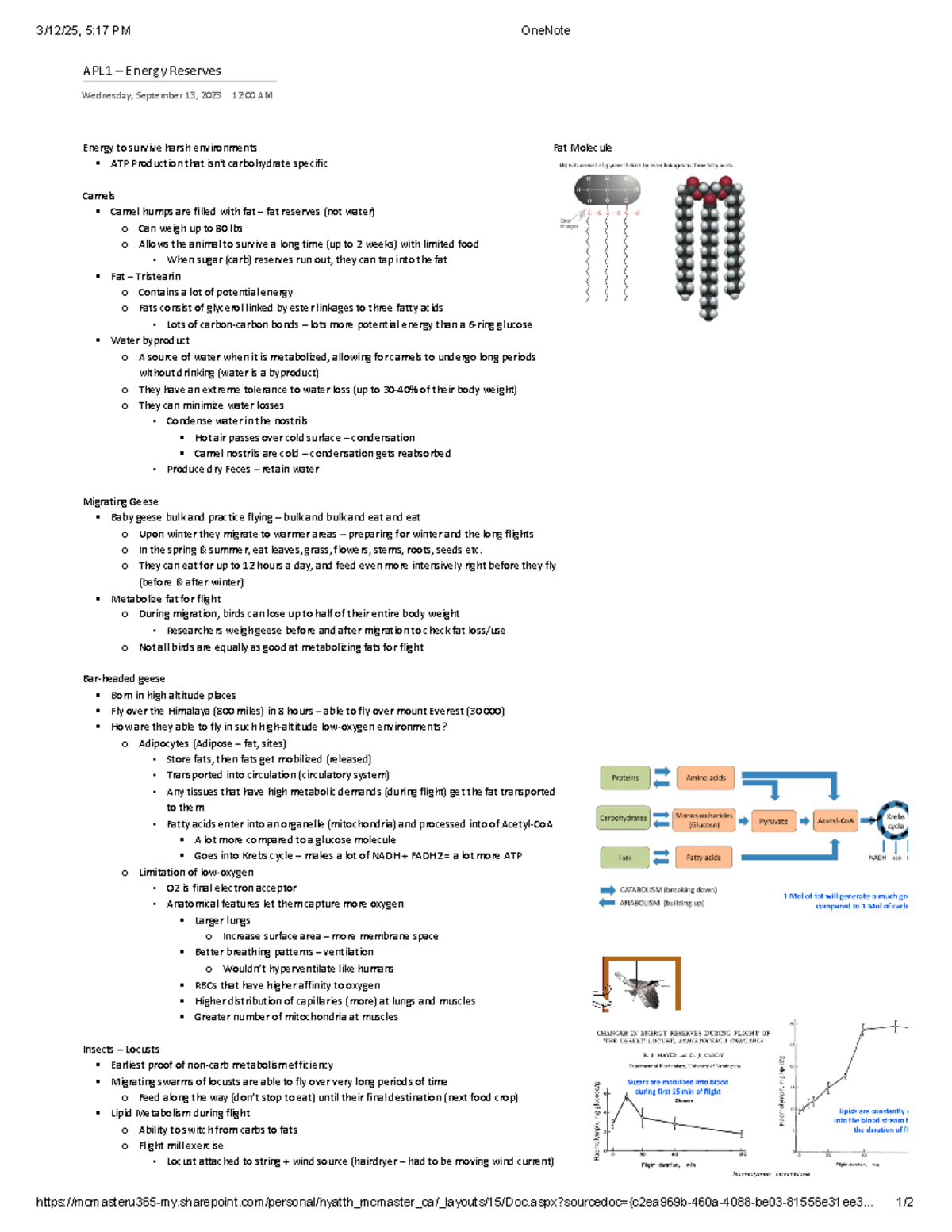 Bio 1A03 - Applied Lecture 1 Notes - APL1 – Energy Reserves Wednesday ...