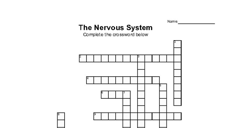 Nervous System Crossword Puzzle: Key Terms and Definitions - Studocu