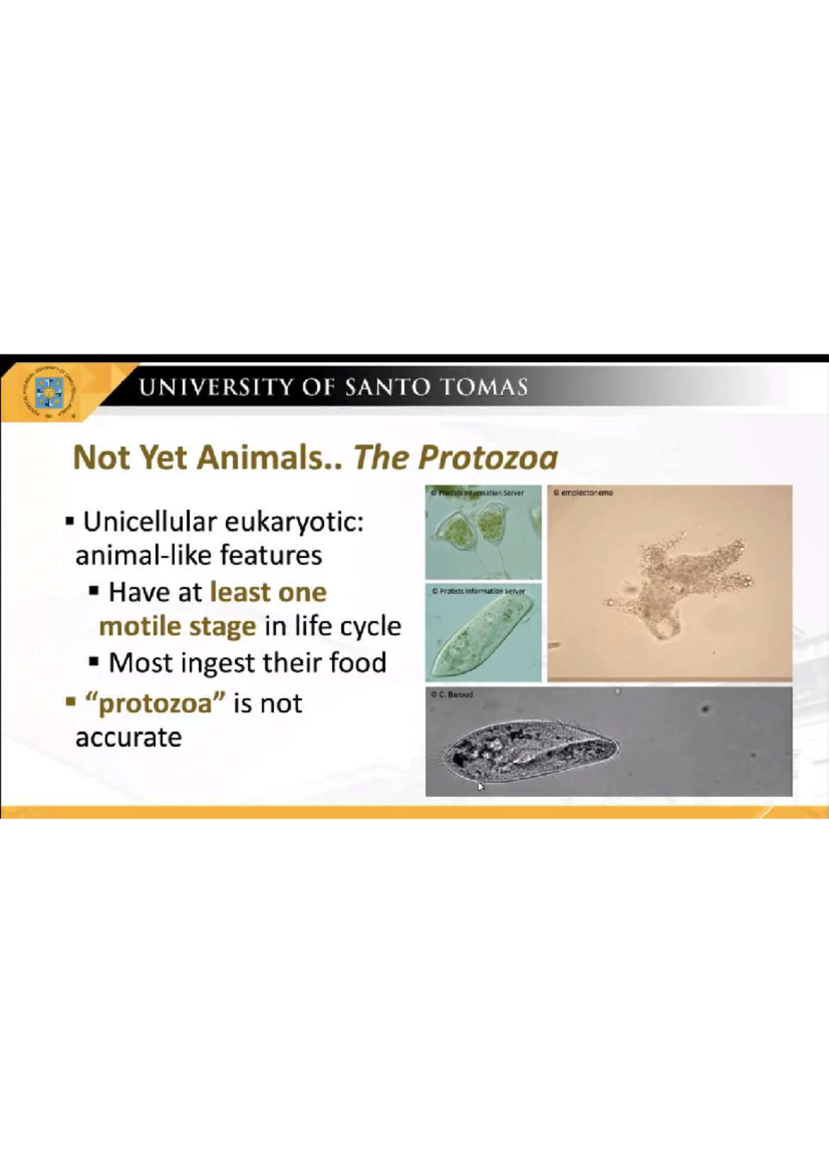 Final Exam Study Guide for Course CODE 101: Unicellular Eukaryotes and ...