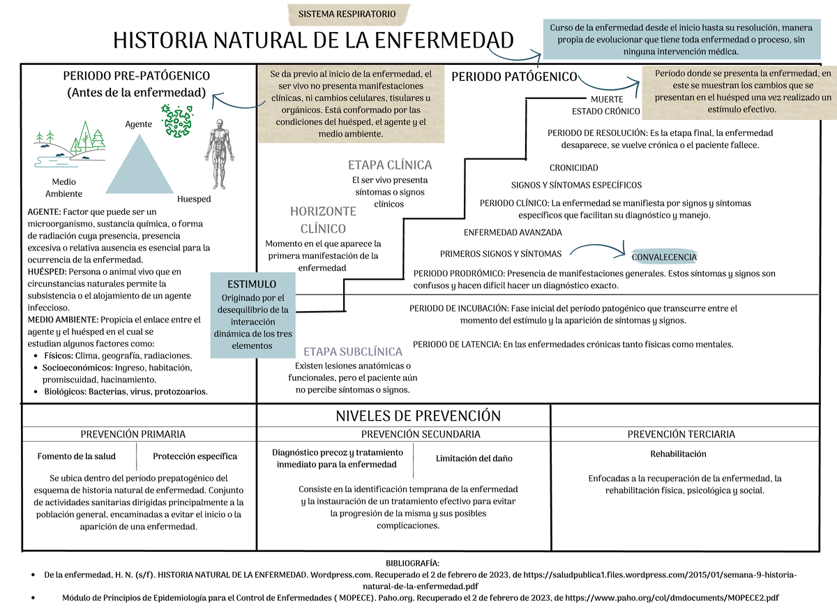 Historia Natural DE LA Enfermedad. -1 - NIVELES DE PREVENCIÓN PREVENCIÓN PRIMARIA PREVENCIÓN ...