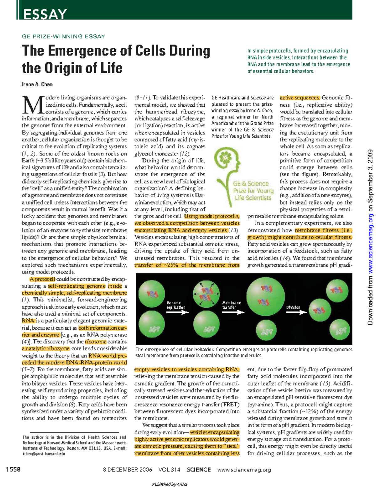 GE 2006 Essay: The Emergence of Cells in Protocells - Studocu