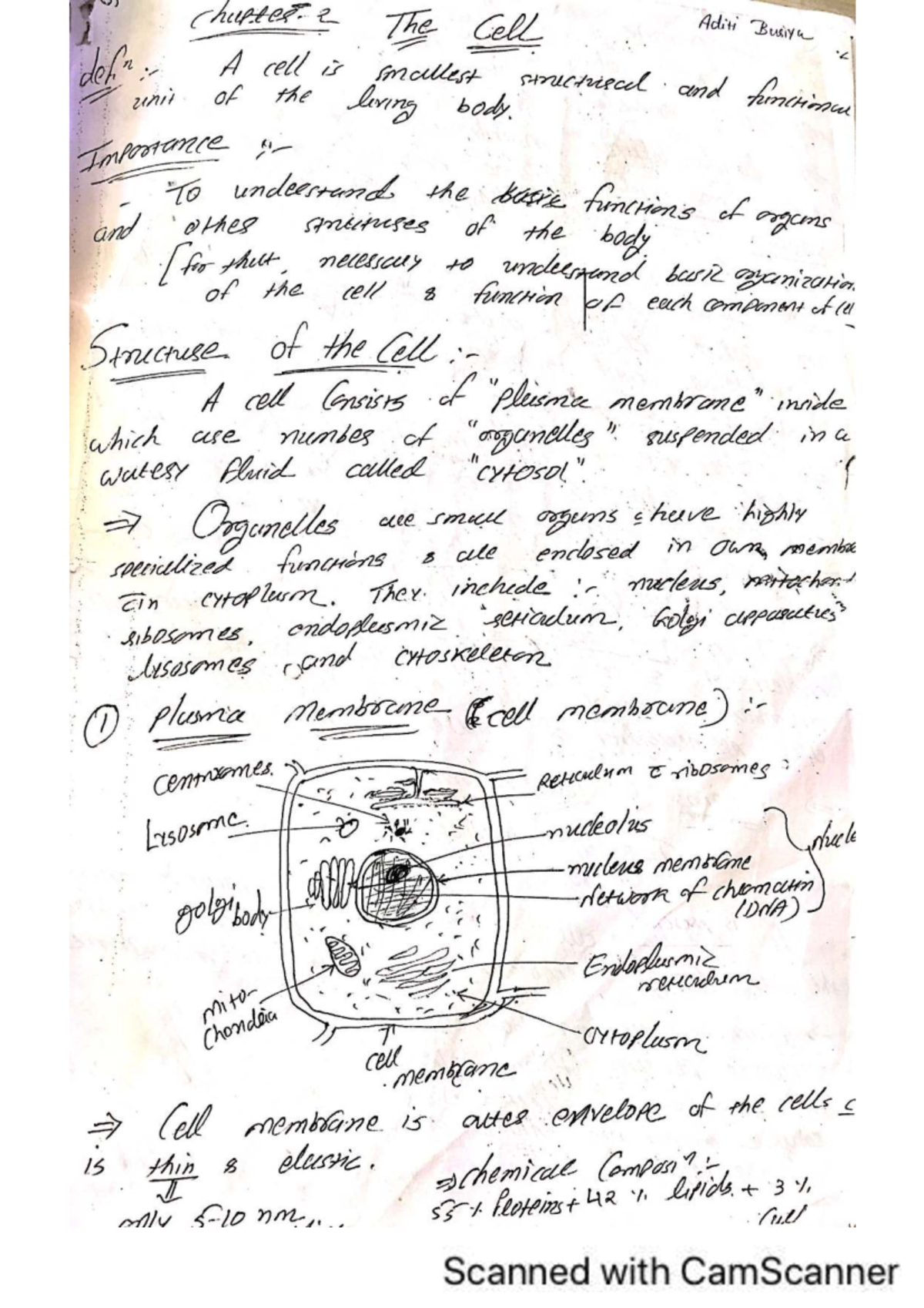 Cell HAP - Important Explanations on Cell Structure and Function - Studocu