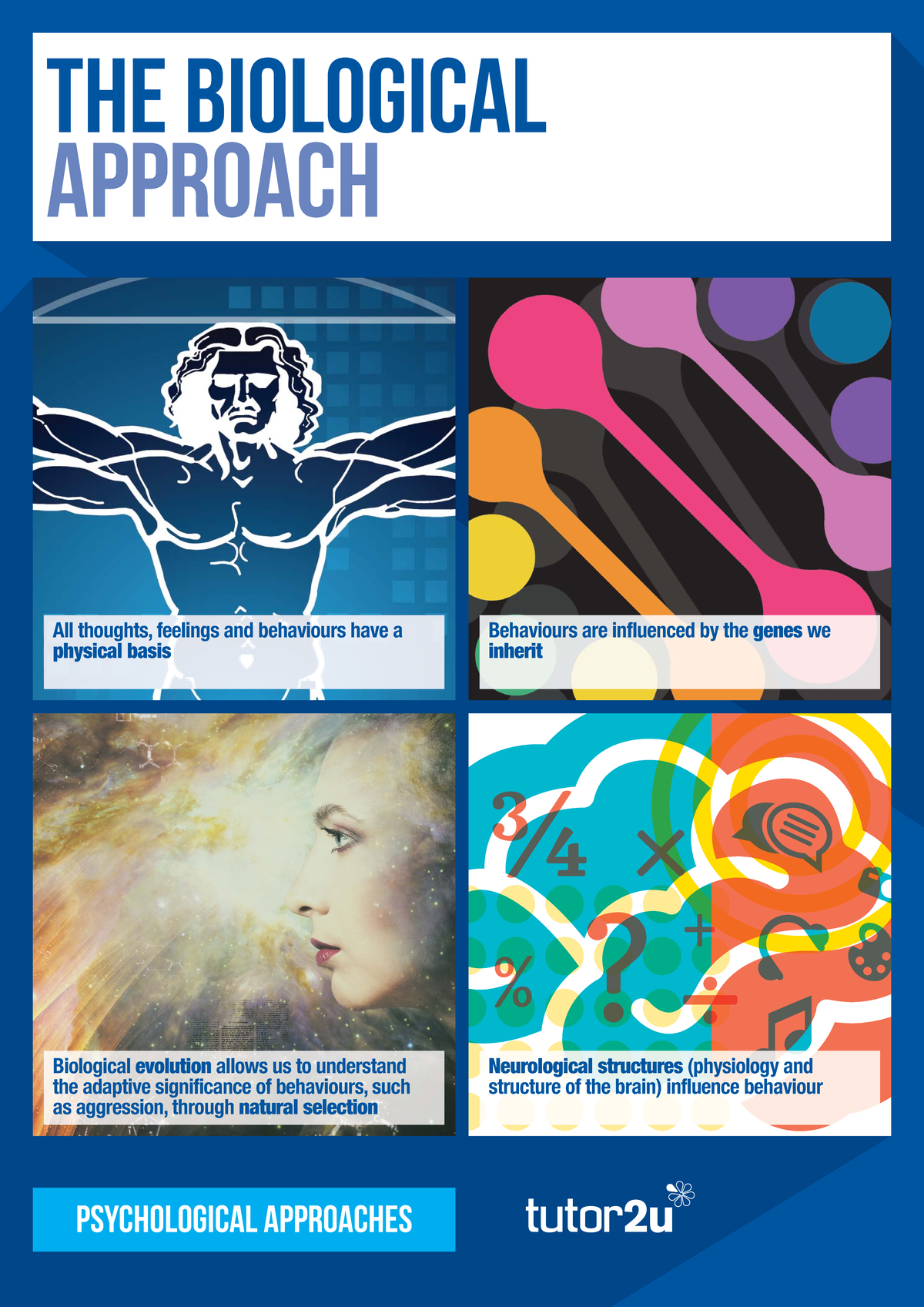 Psychology Approaches Overview Poster Set for Tutor 2u - Studocu