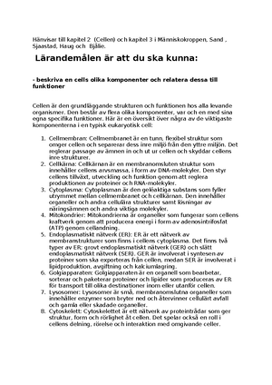 VIPS modellen - Omvårdnadsbedömning enligt VIPS-modellen är en struktur ...