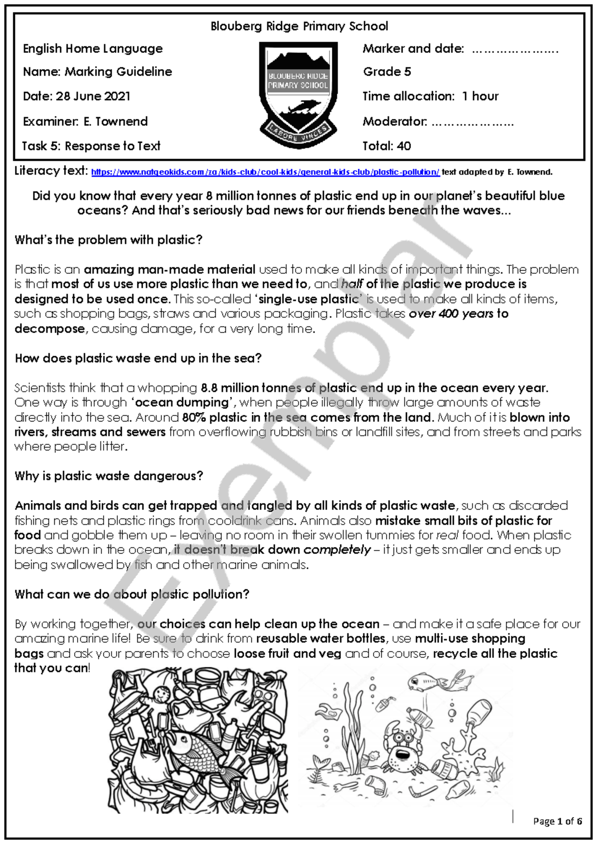 Grade 5 English FAL Mid Year Exam 2021: Plastic Pollution Comprehension ...