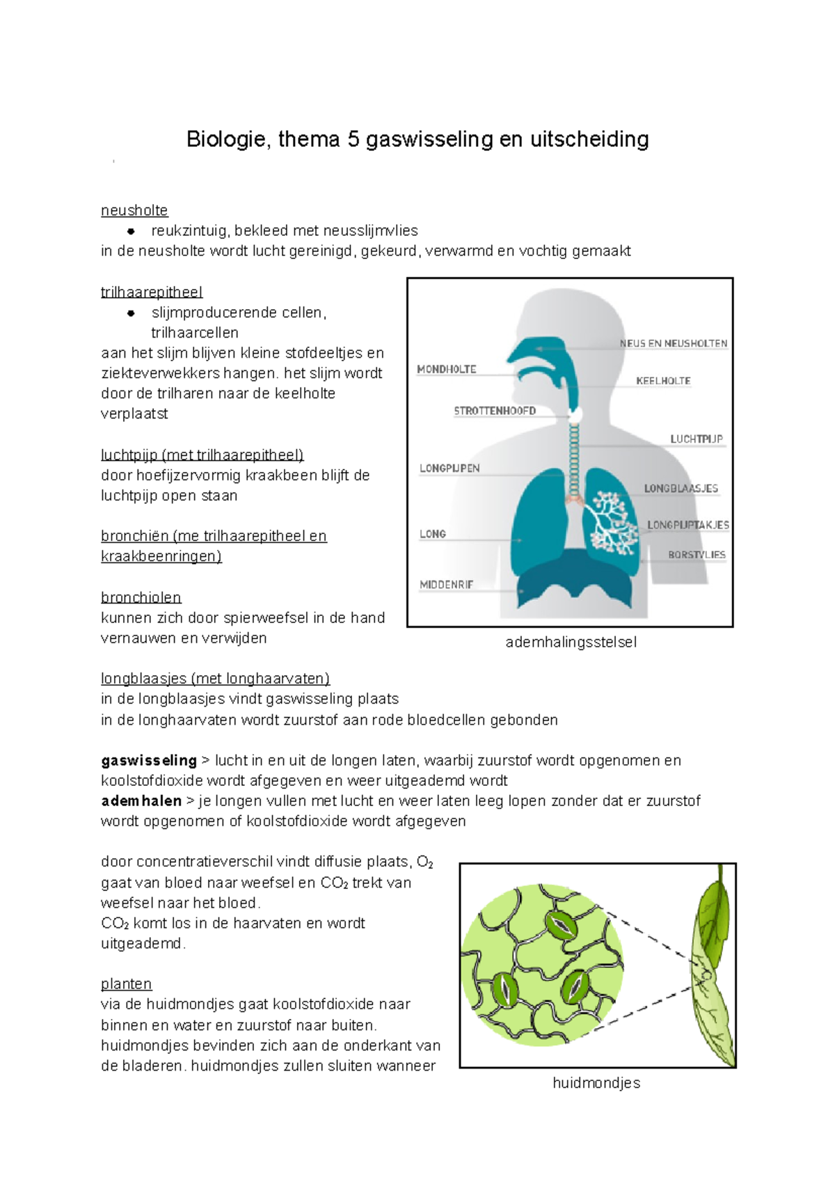 Biologie Thema 5: Gaswisseling en Uitscheiding - Samenvatting en ...