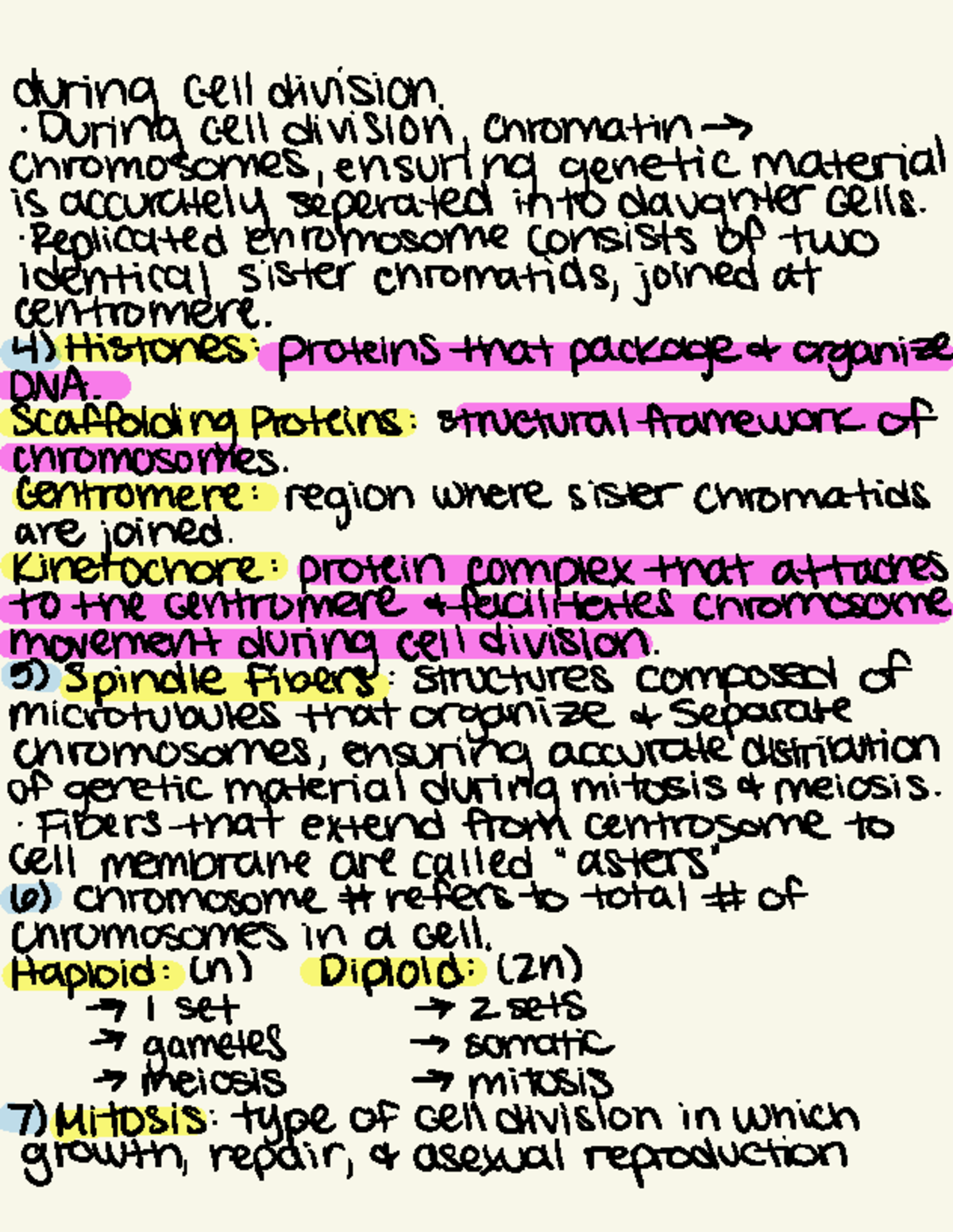 Mitosis and Meiosis: An Overview of Cell Division Mechanisms - during ...