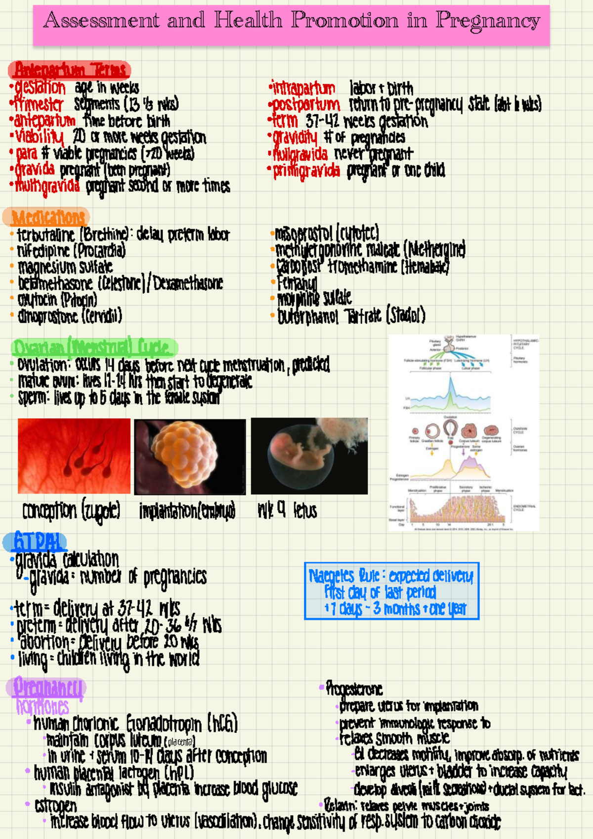 Assessment and Health Promotion in Pregnancy Overview - Assessment and ...
