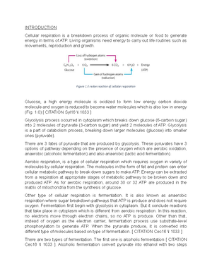 CHM271 Lab Report (Hess's Law) - LABORATORY REPORT PHYSICAL CHEMISTRY ...