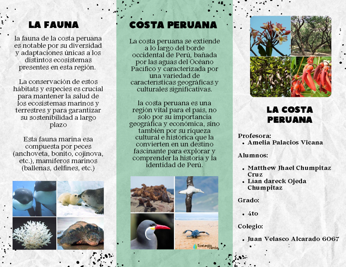 Flora y Fauna de la Costa Peruana: Estudio de Ecosistemas Marinos - Studocu