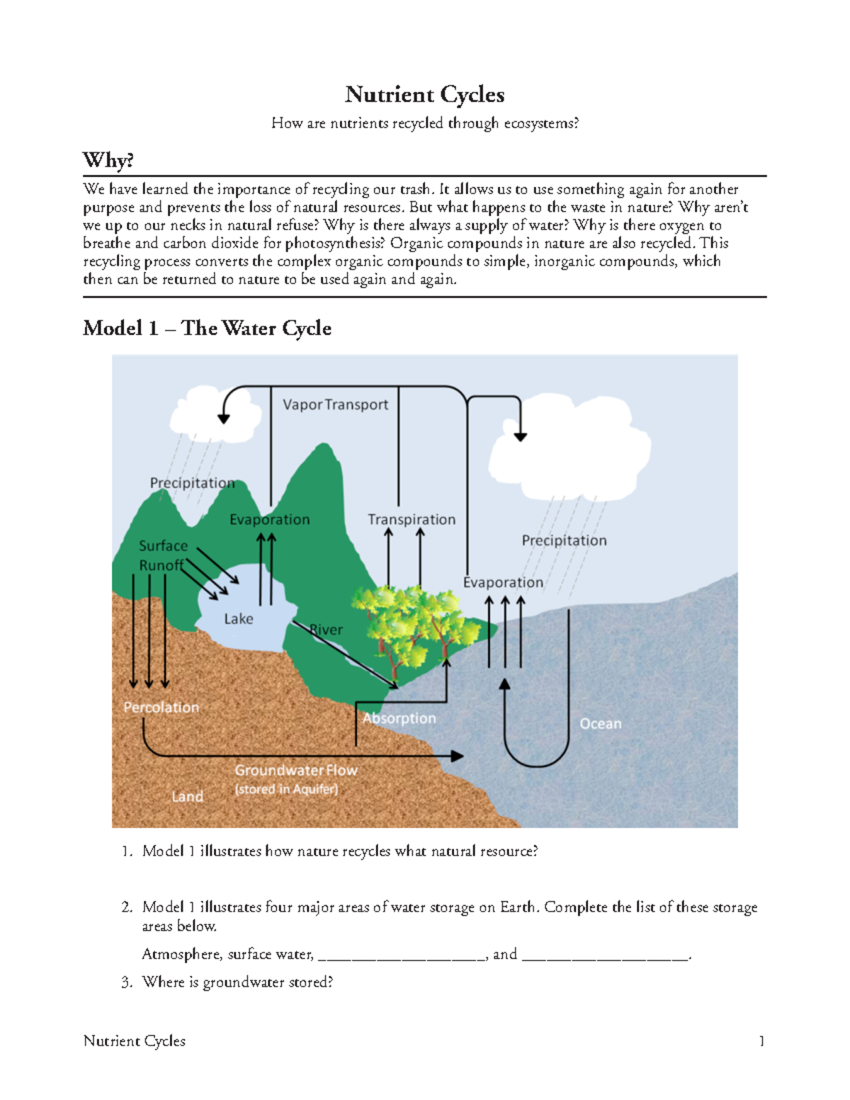 Activity Nutrient Cycles - Nutrient Cycles 1 Nutrient Cycles How are ...