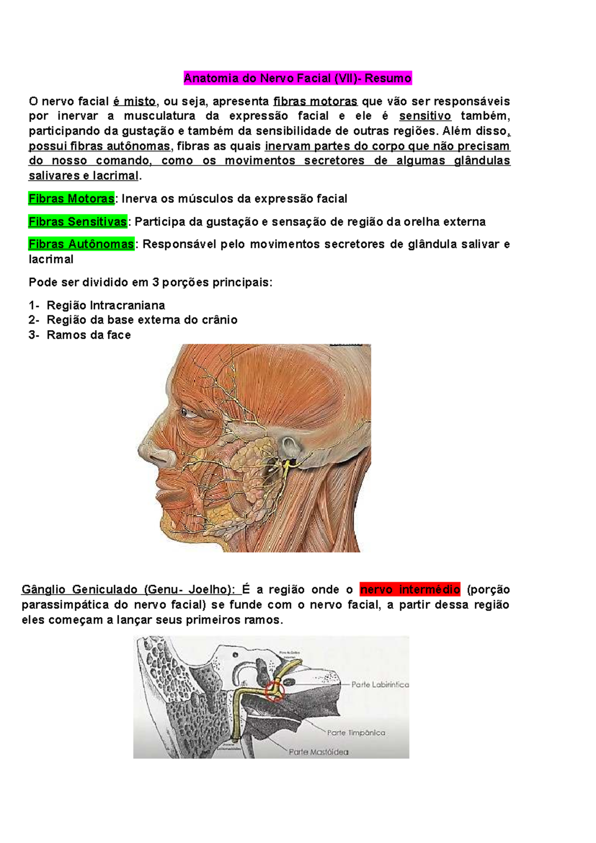 Anatomia do Nervo Facial (VII) - Resumo Completo e Detalhado - Studocu